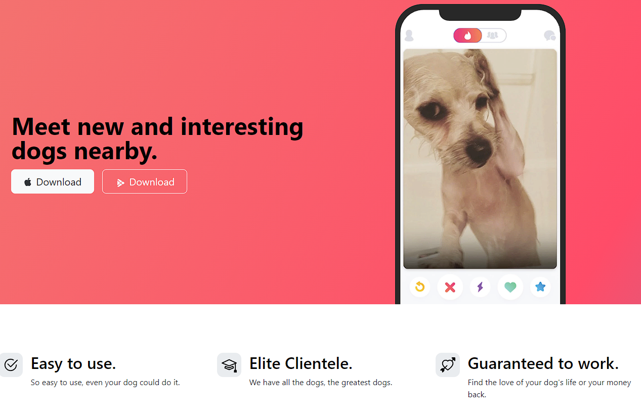 Xavier-Ayala-Portfolio